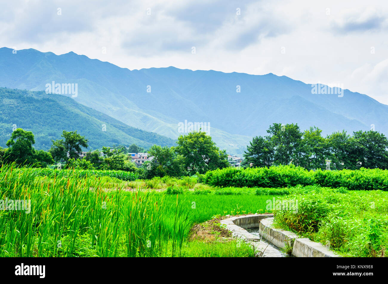 Beautiful rural scenery in summer Stock Photo - Alamy
