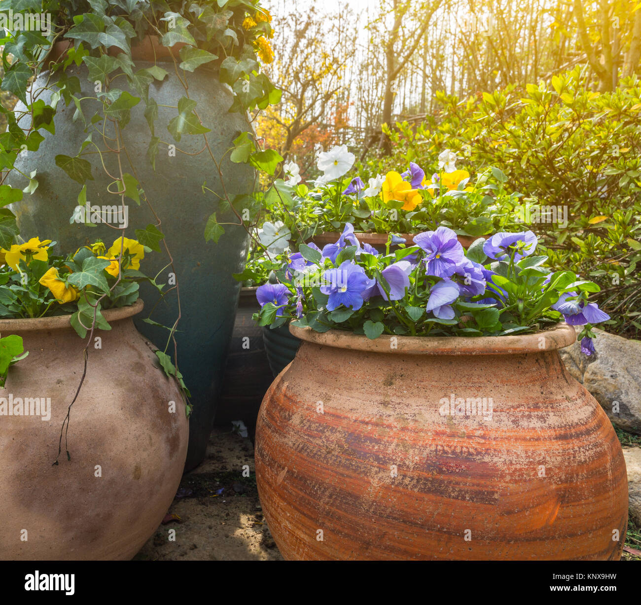 Detail Shot Of plant Over natural Background in Wuxi nianhuawan park ...