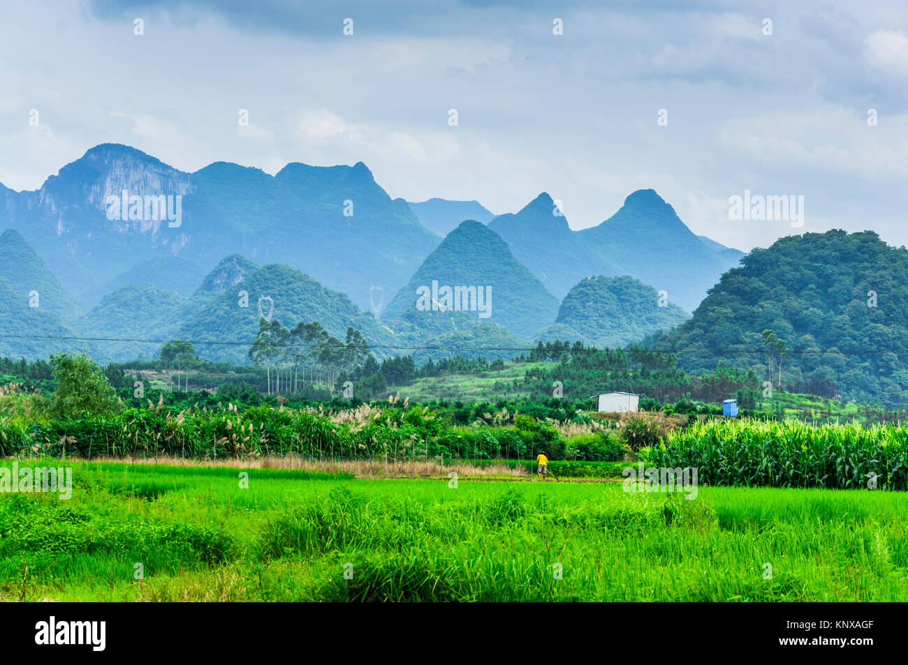 Beautiful rural scenery in summer Stock Photo - Alamy