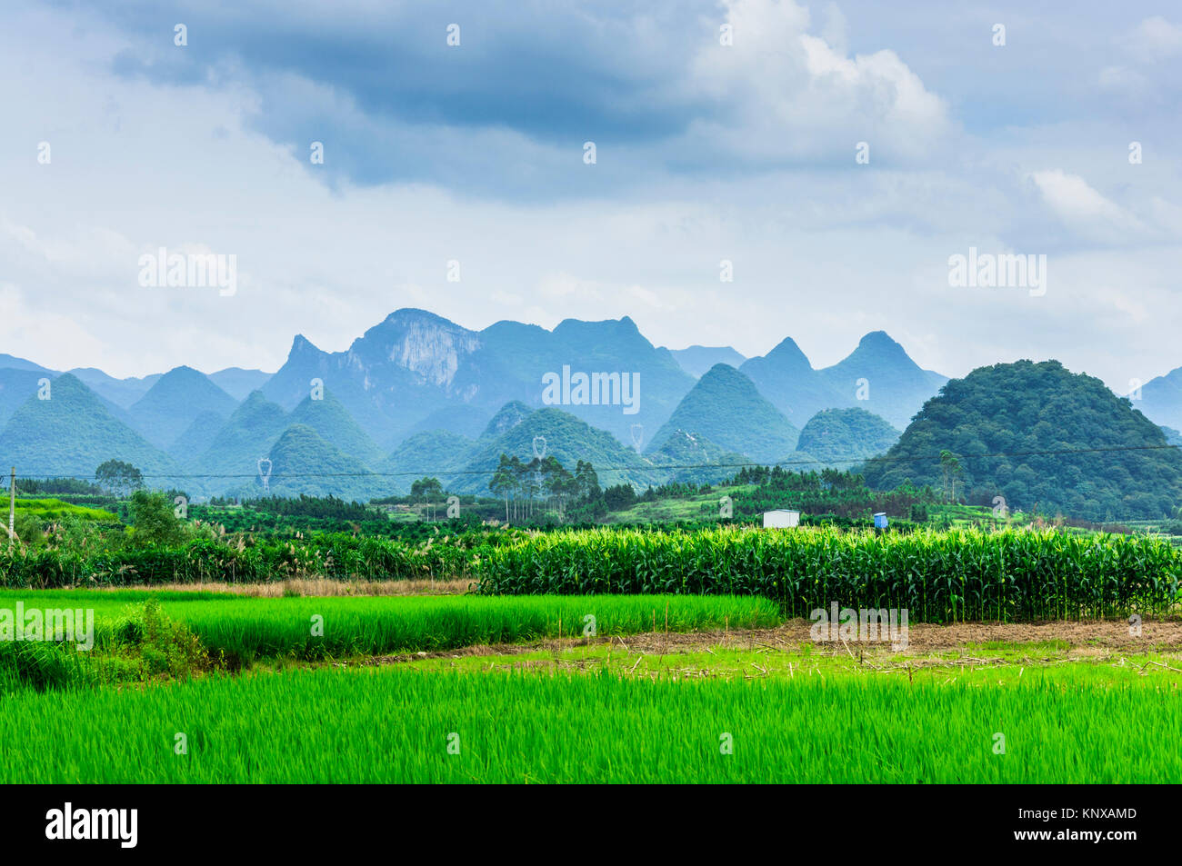 Beautiful rural scenery in summer Stock Photo - Alamy