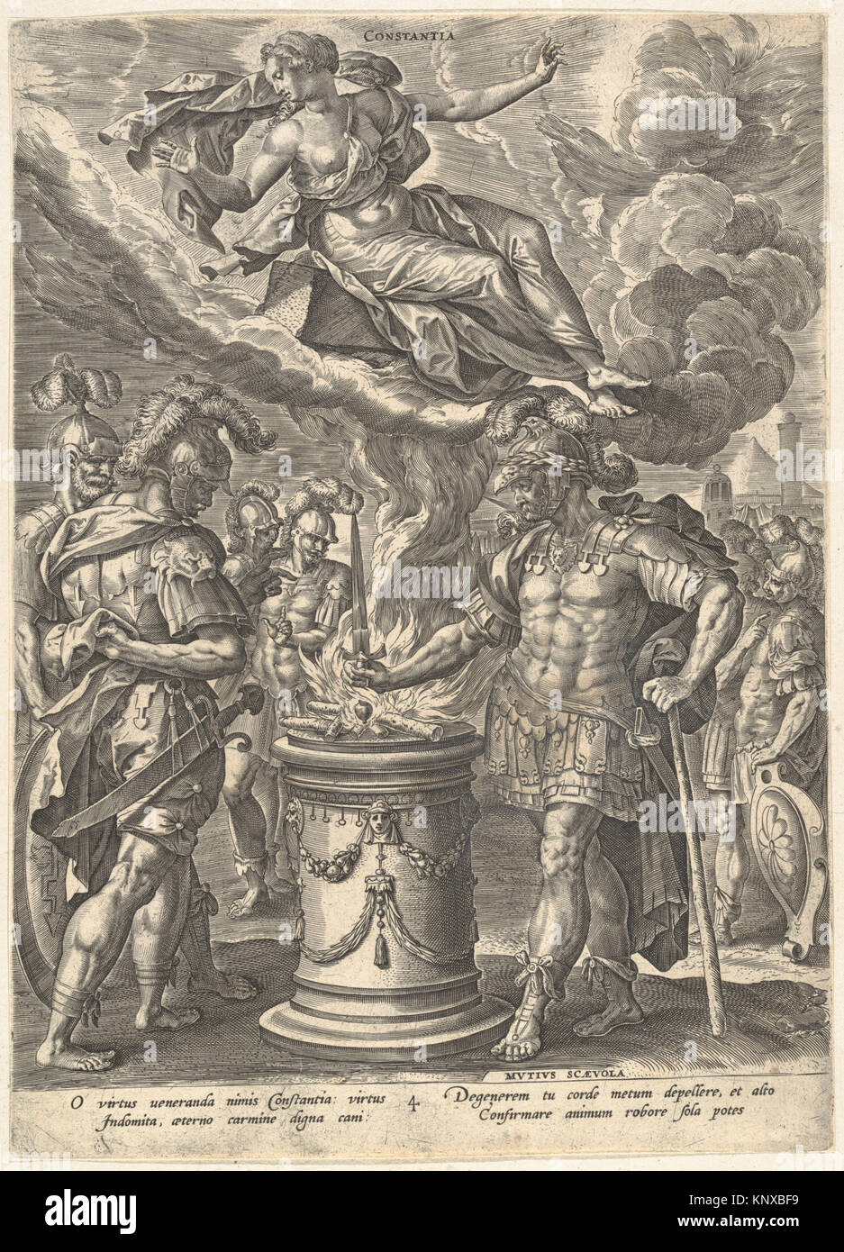 21 4 x 28 9 cm hi-res stock photography and images - Alamy