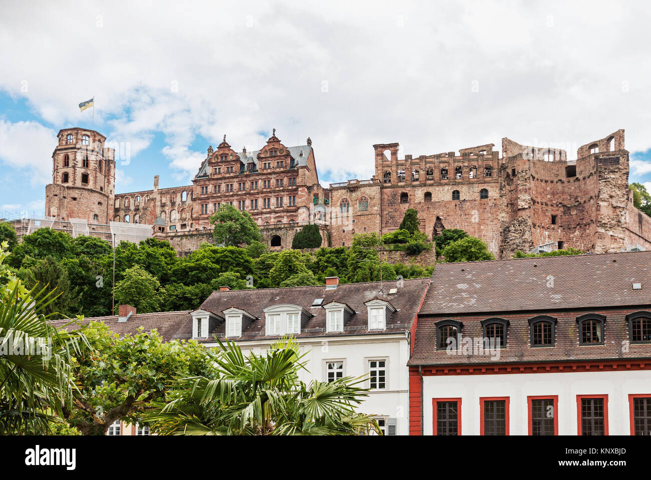 Renaissance Heidelberg castle on the hillside overlooking Heidelberg ...