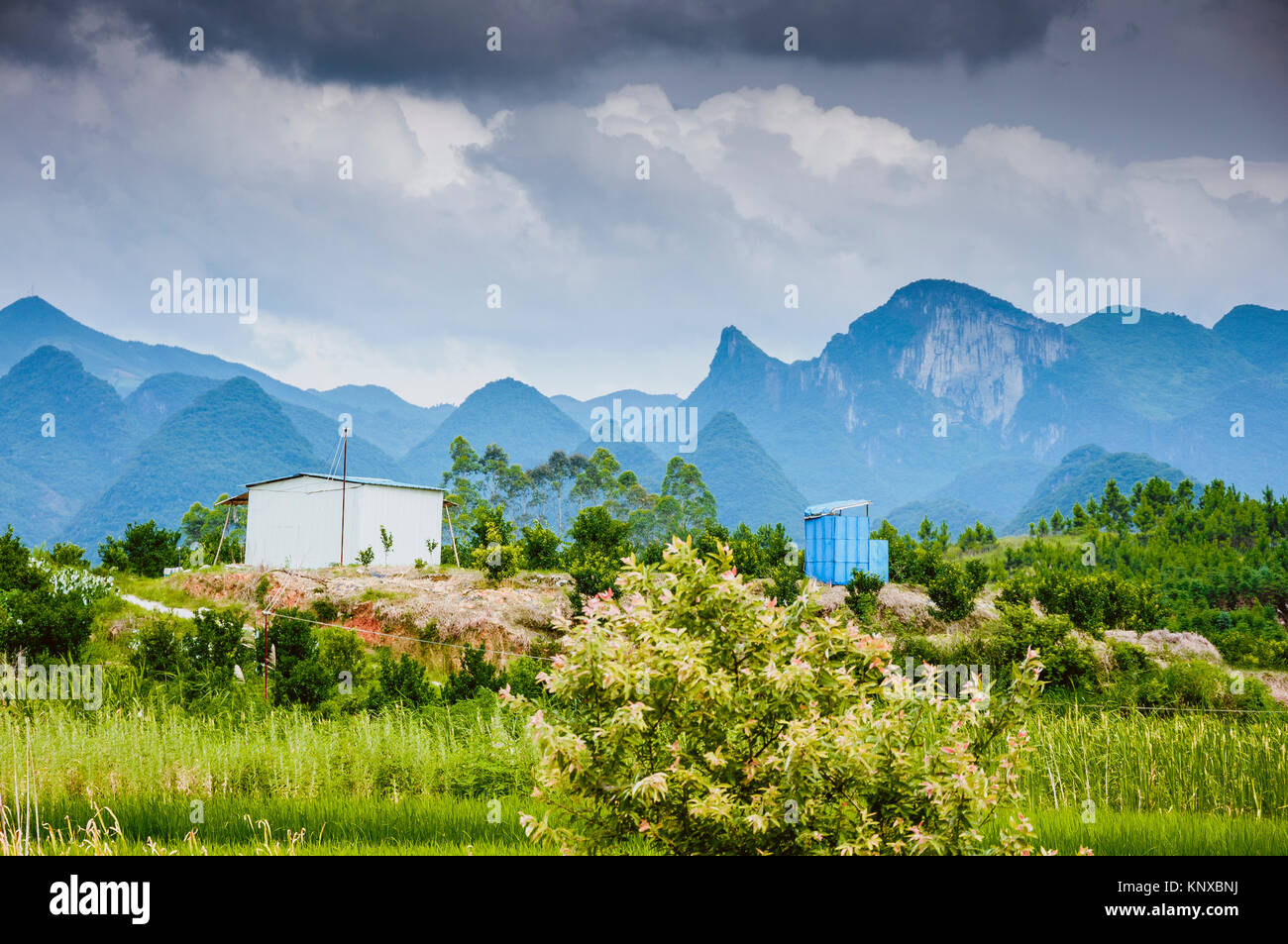 Beautiful rural scenery in summer Stock Photo - Alamy