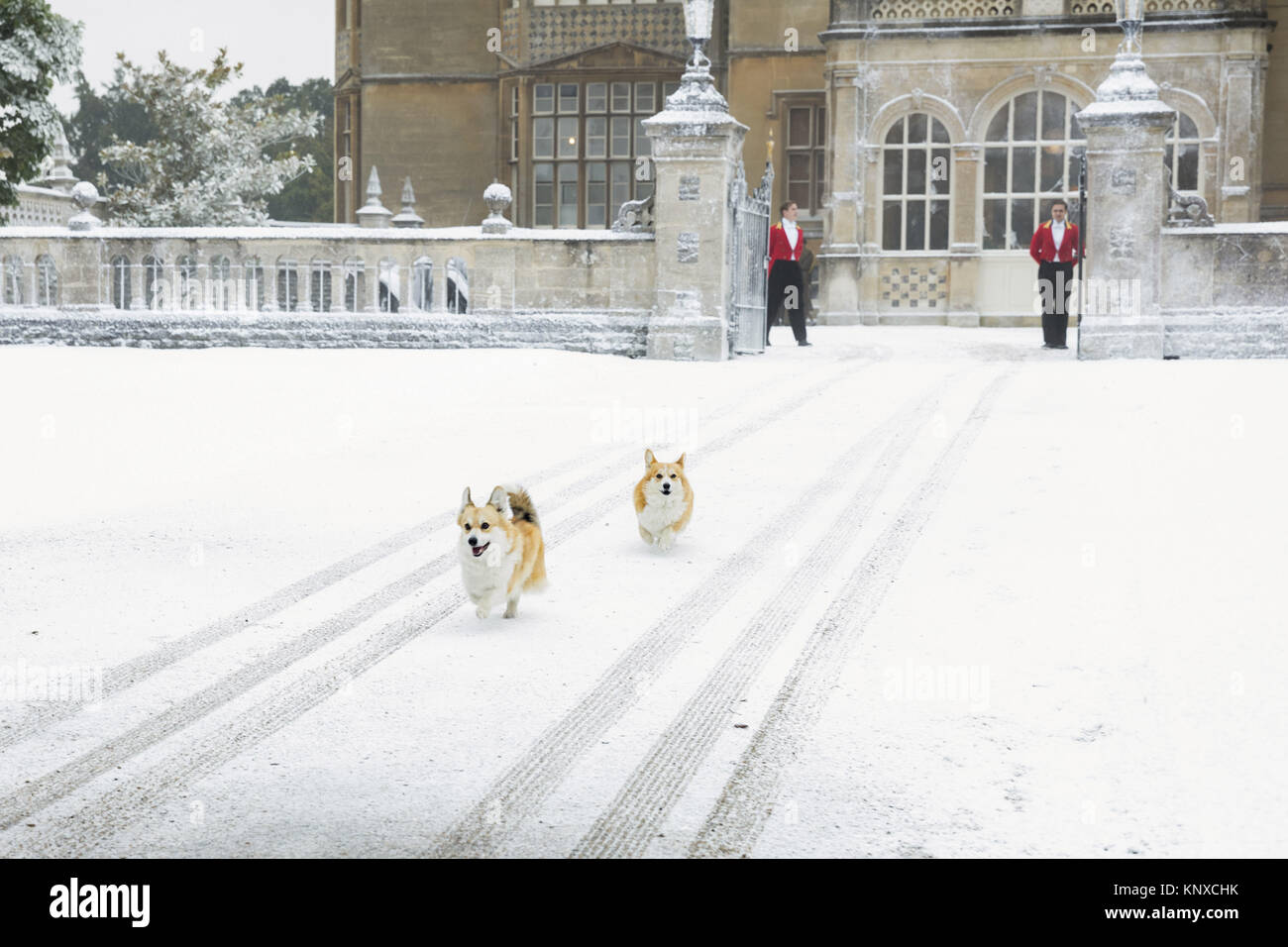 THE CROWN, the Queen's Corgis, 'The Company of Men', (Season 2, ep. 202 ...
