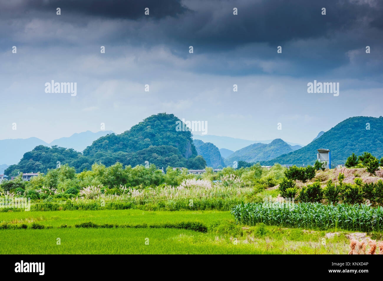 Beautiful rural scenery in summer Stock Photo - Alamy