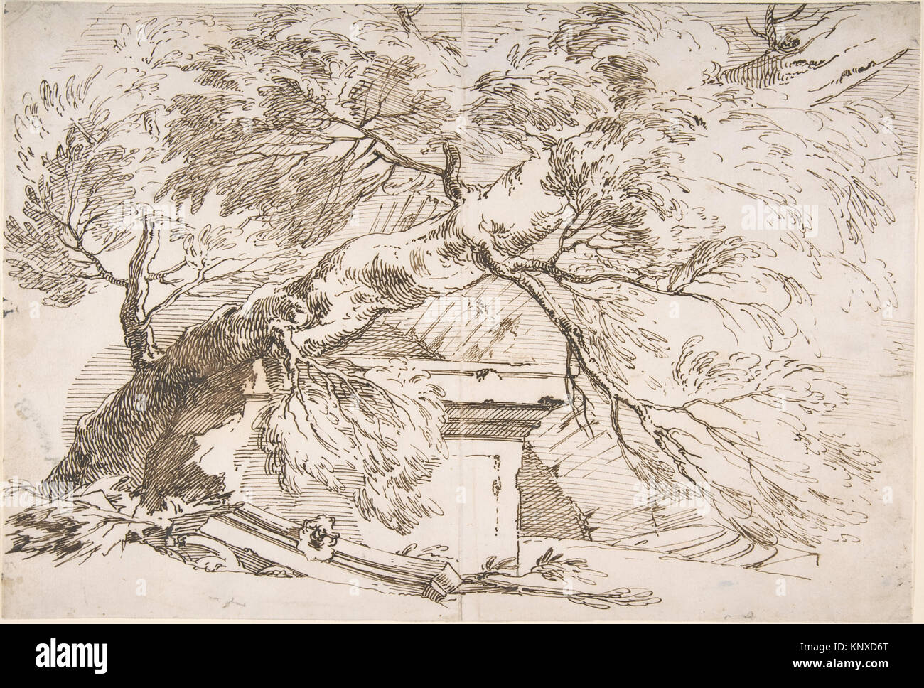 Drawing of a fallen tree with ruins, highlighting landscape features ...