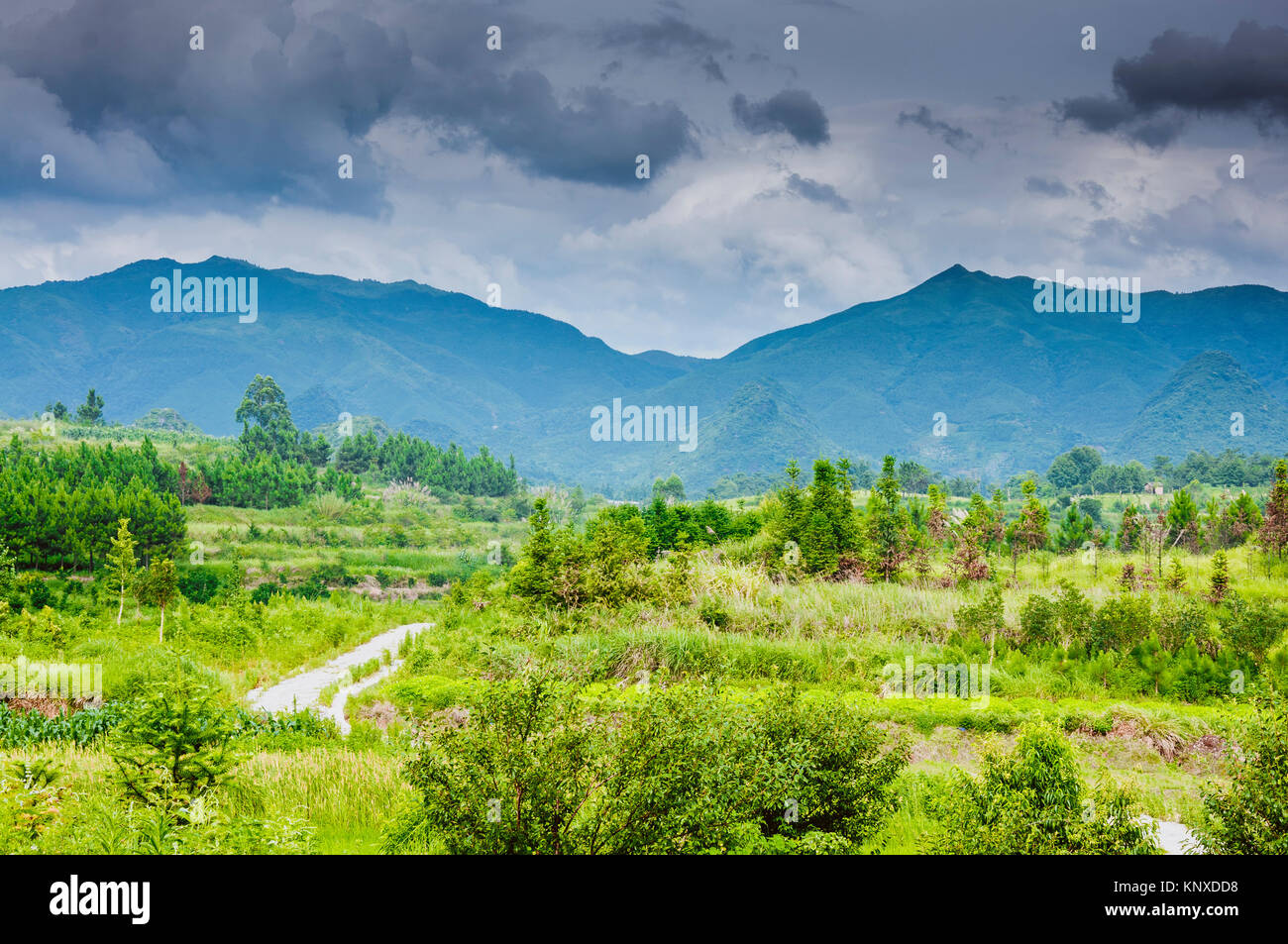 Beautiful rural scenery in summer Stock Photo - Alamy