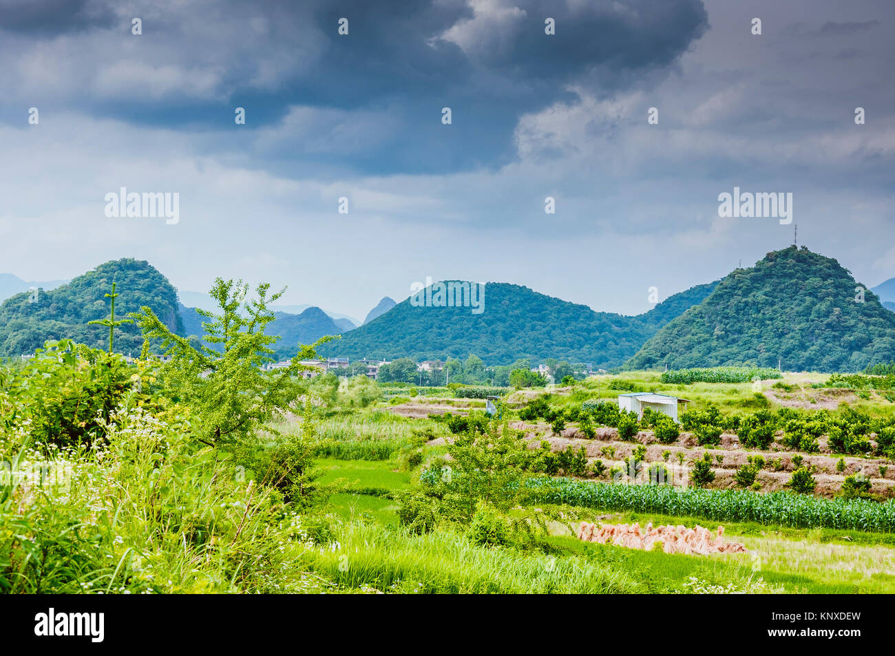 Beautiful rural scenery in summer Stock Photo - Alamy