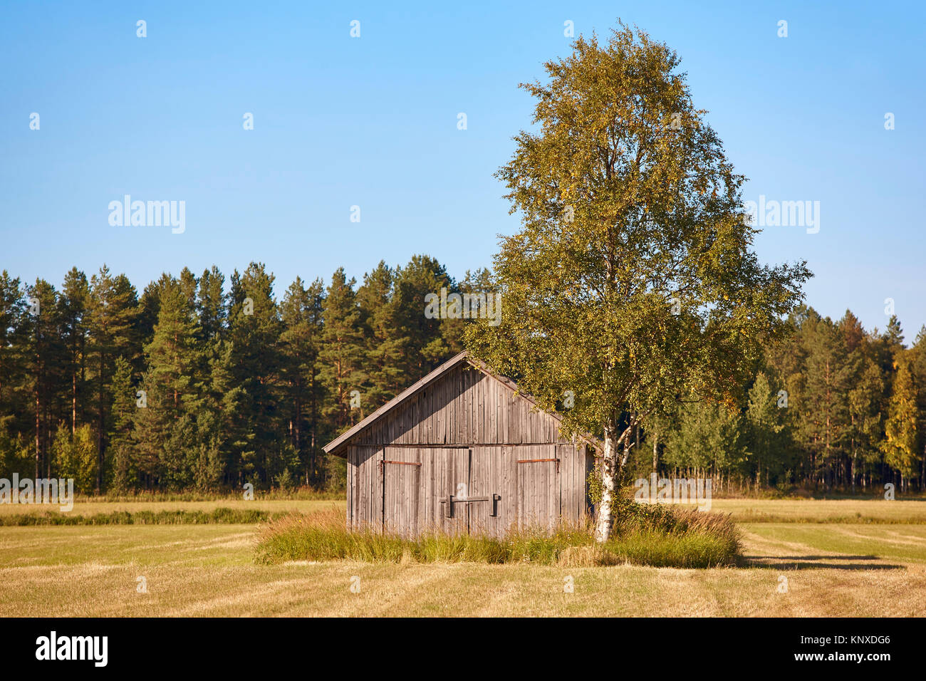 Traditional finnish wooden farm in the countryside. Finland landscape ...