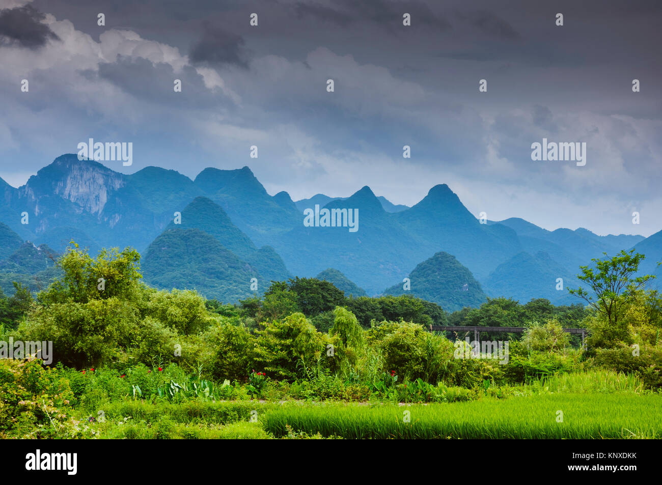 Beautiful rural scenery in summer Stock Photo - Alamy