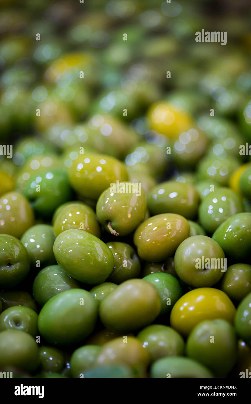 Olea europaea olive green hi-res stock photography and images - Alamy