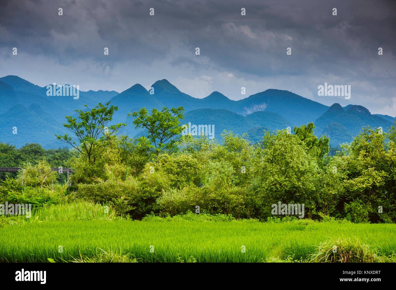 Beautiful rural scenery in summer Stock Photo - Alamy