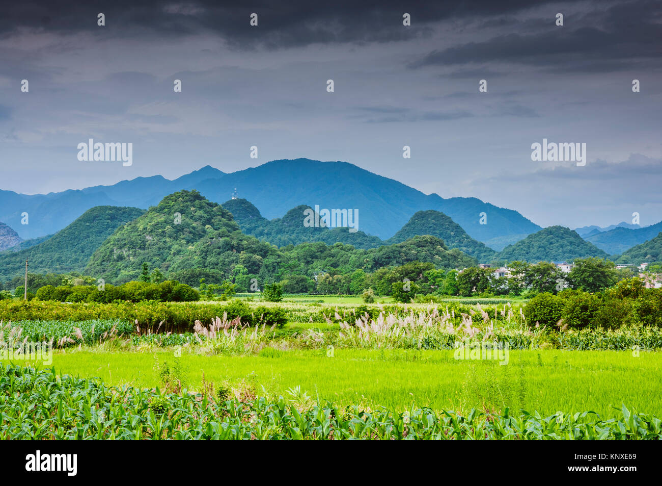 Beautiful rural scenery in summer Stock Photo - Alamy