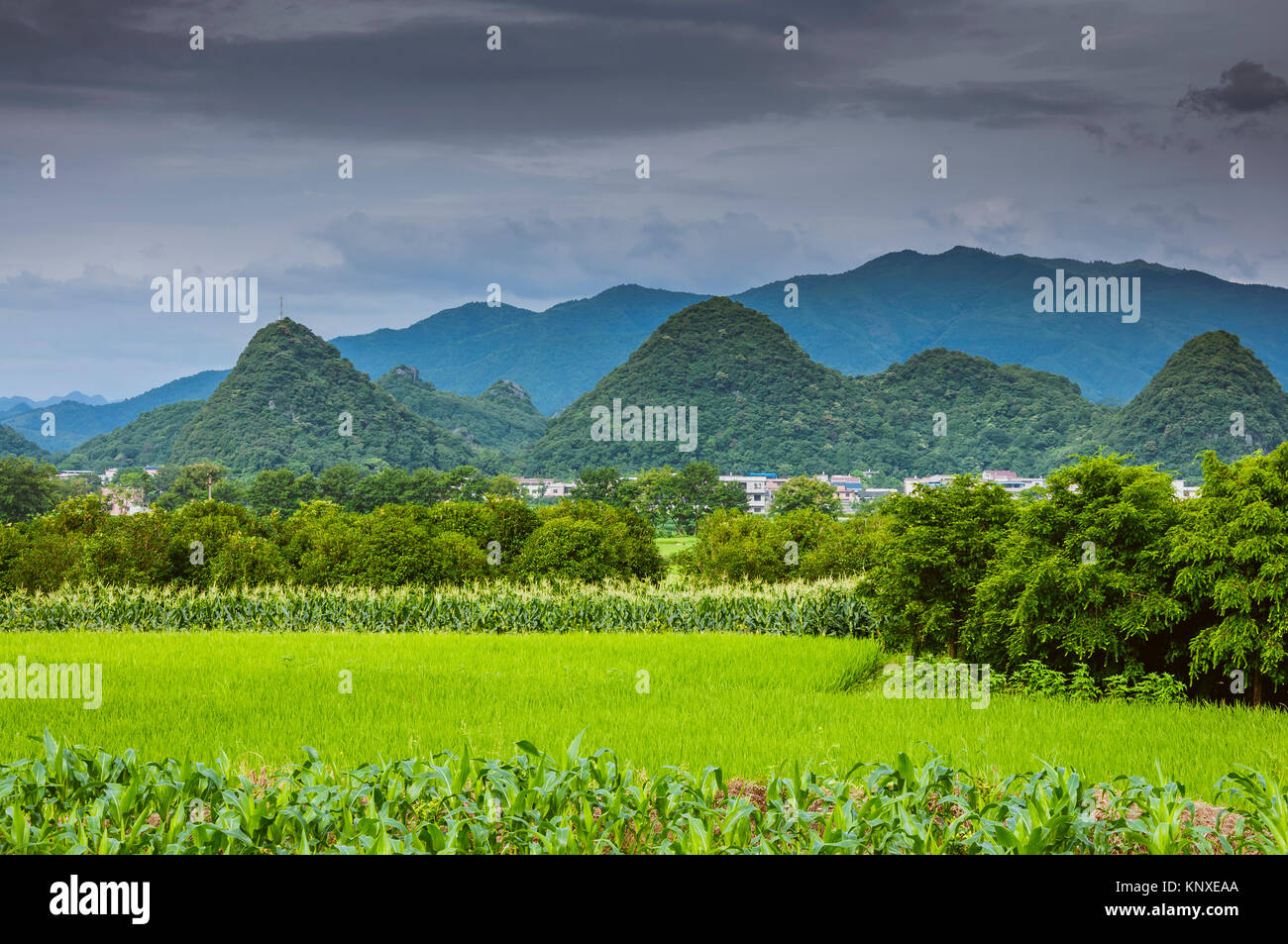 Beautiful rural scenery in summer Stock Photo - Alamy