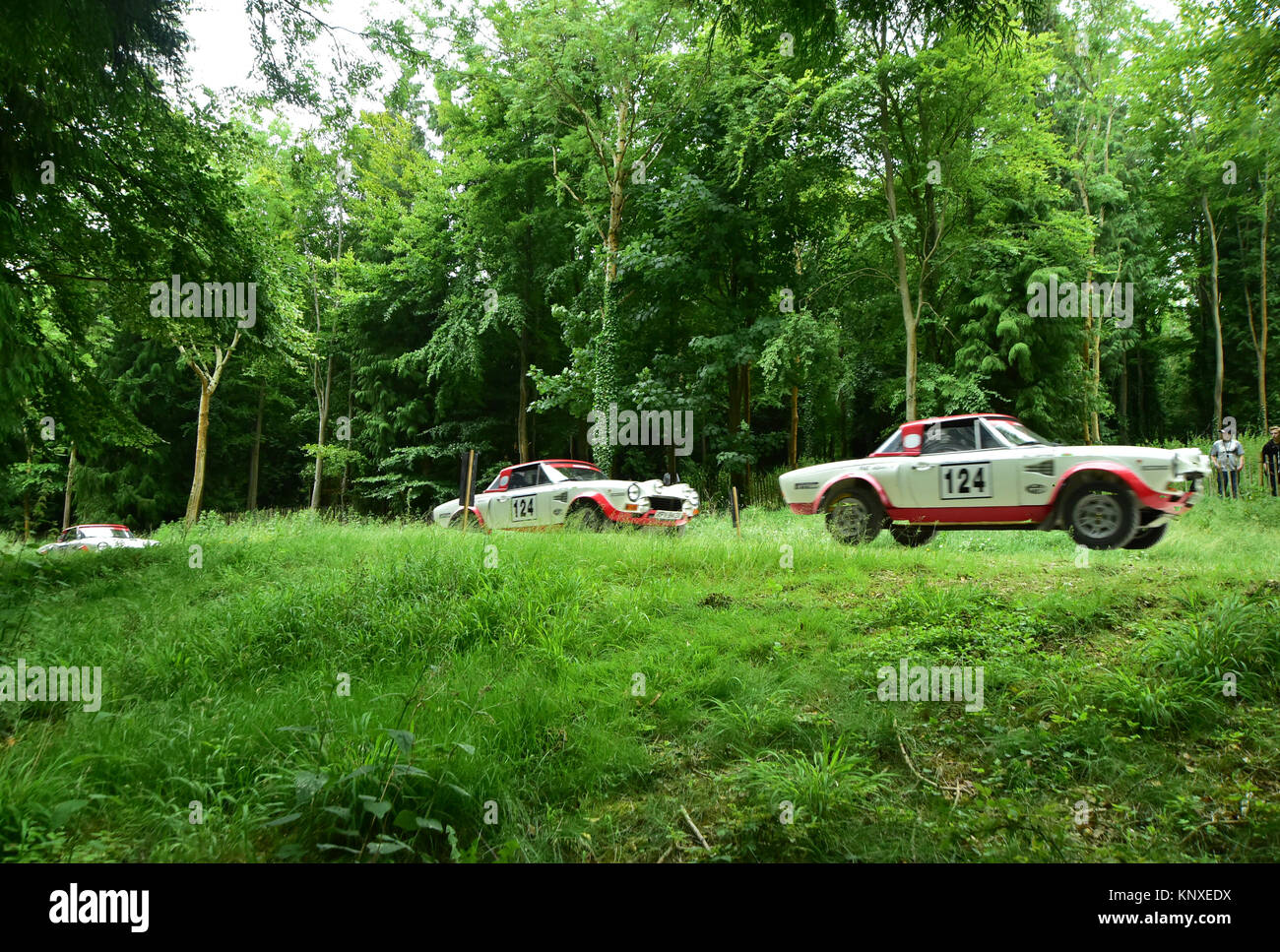 Forest rally stage, Goodwood FoS 2015, 2015, Classic, entertainment ...