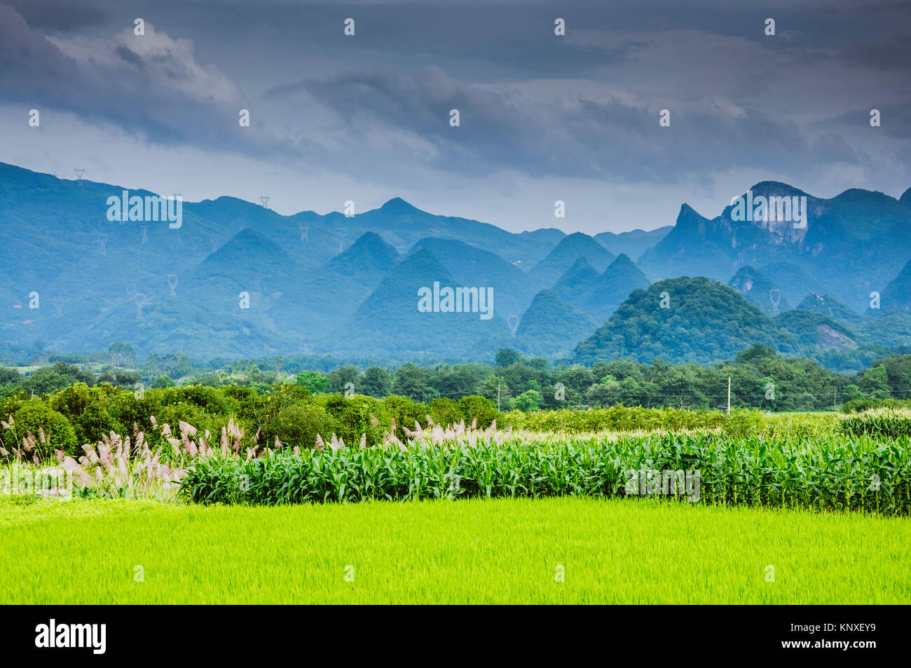 Beautiful rural scenery in summer Stock Photo - Alamy
