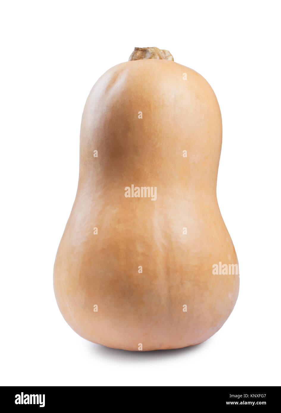Uncooked whole squash hi-res stock photography and images - Alamy