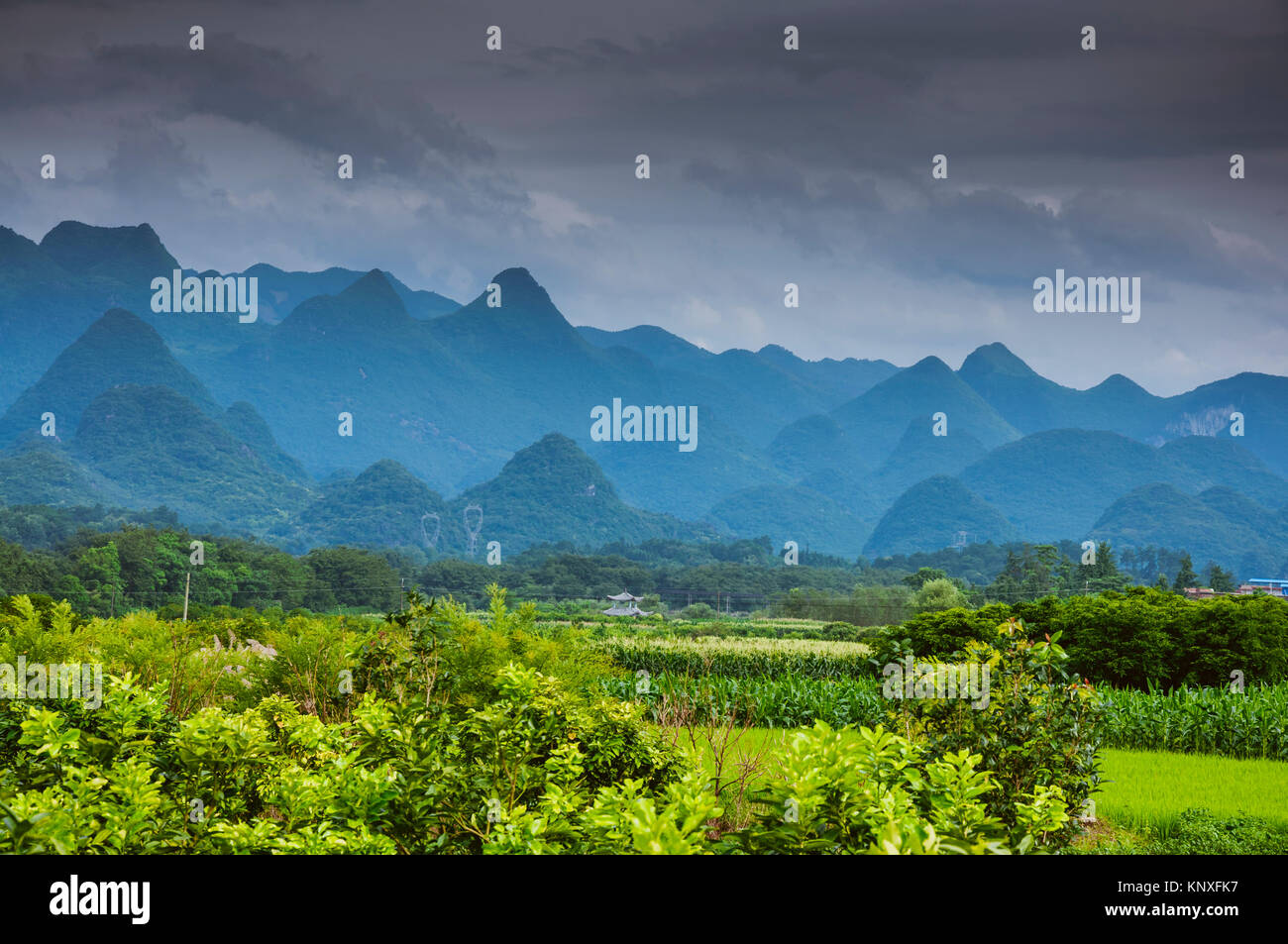 Beautiful rural scenery in summer Stock Photo - Alamy