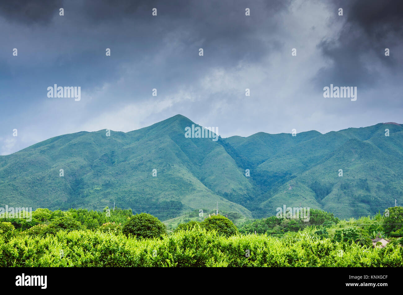 Beautiful rural scenery in summer Stock Photo - Alamy