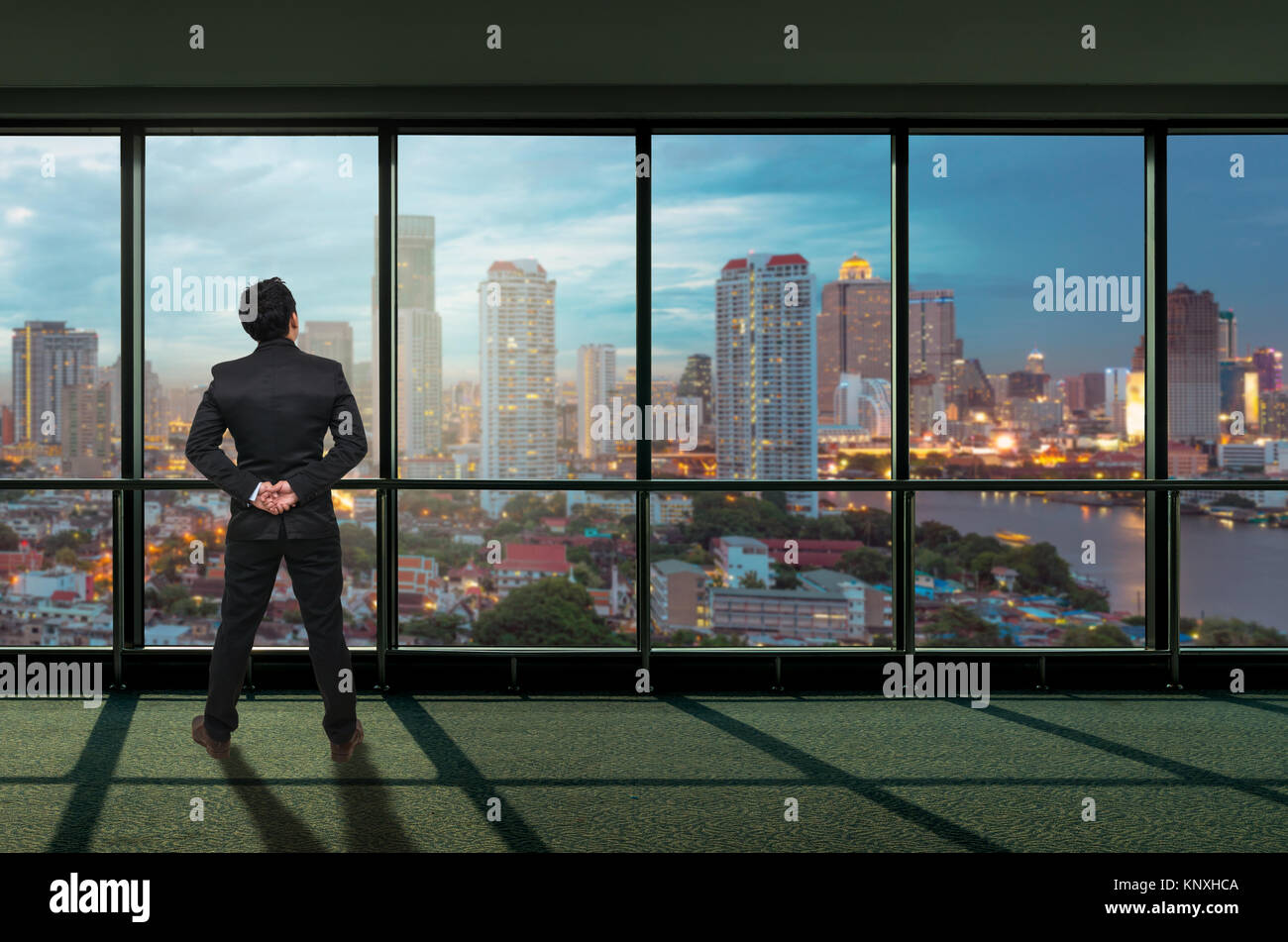 Back side of Businessman looking megalopolis through window, Business ...
