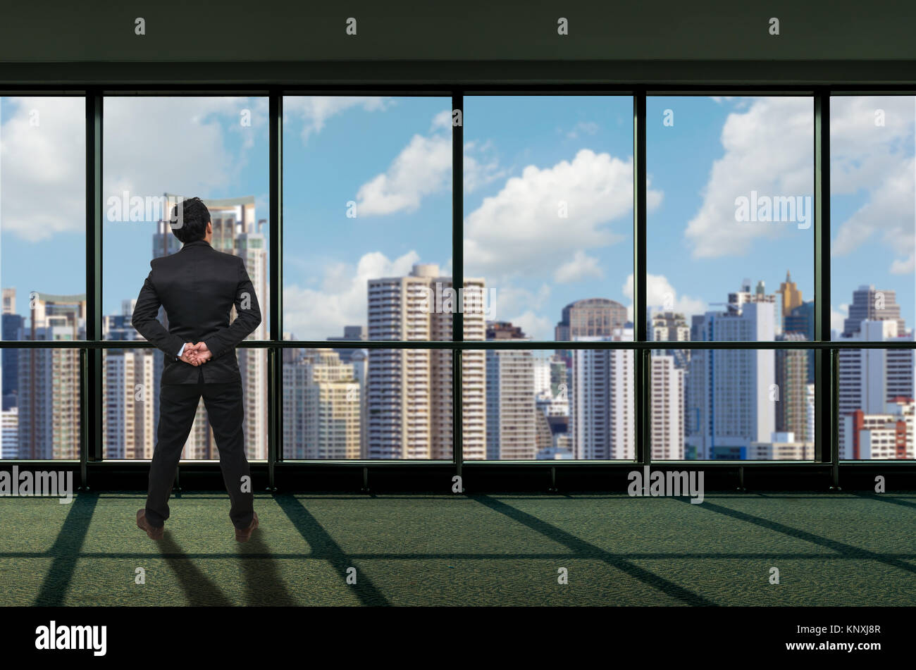 Back side of Businessman looking megalopolis through window, Business ...