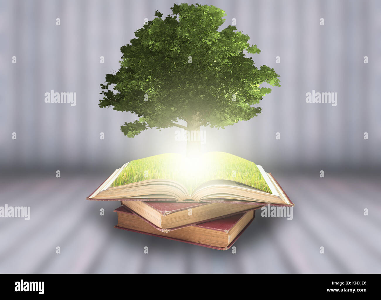 Tree growing from book hi-res stock photography and images - Alamy