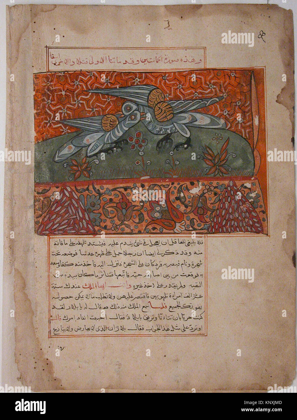 Folio from Kalila wa Dimna depicting a male dove pecking a female dove ...