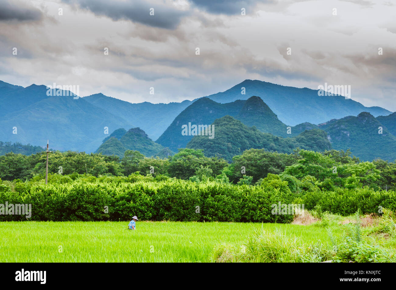 Beautiful rural scenery in summer Stock Photo - Alamy