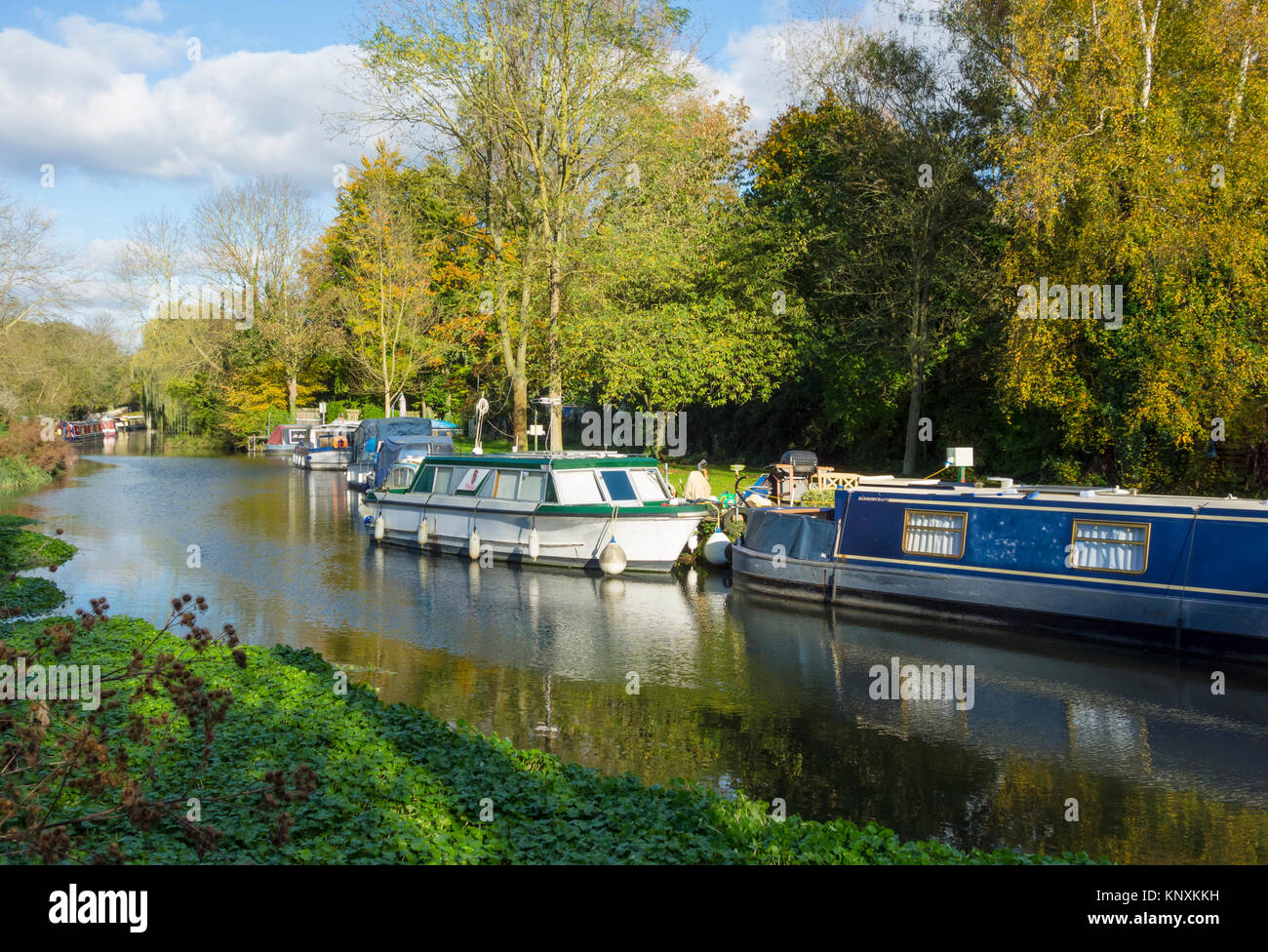 River Stort, Sawbridgeworth Stock Photo - Alamy