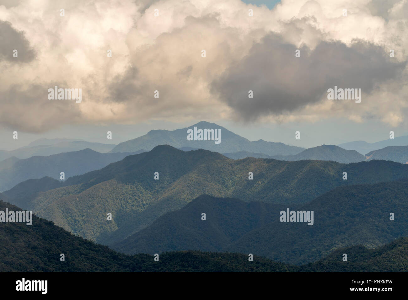 Cumulus clouds forming over the Cordillera del Condor on the border of ...