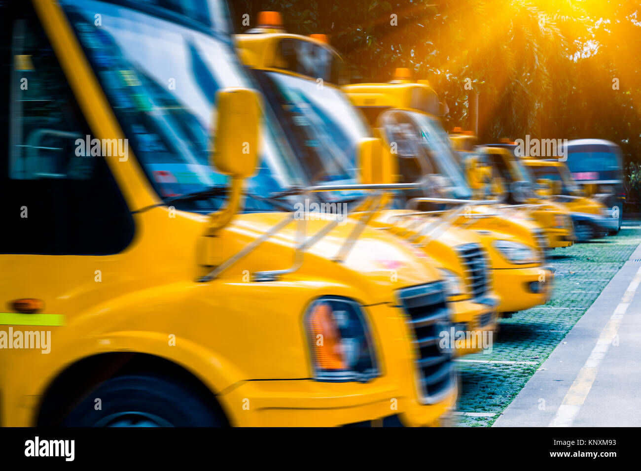 Yellow school bus ,Line of school buses Stock Photo - Alamy