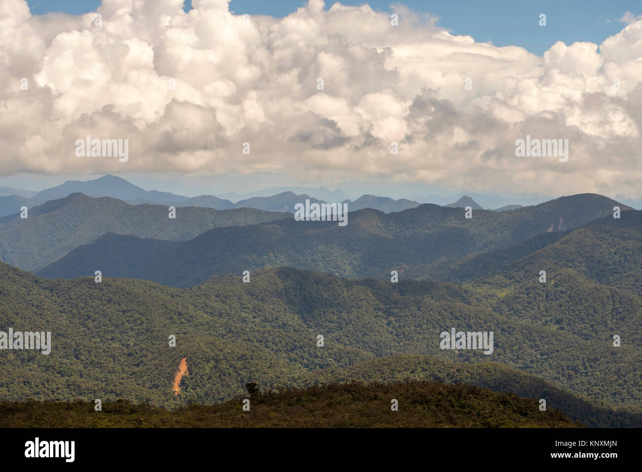 A band of cumulus clouds forming over the Cordillera del Condor on the ...