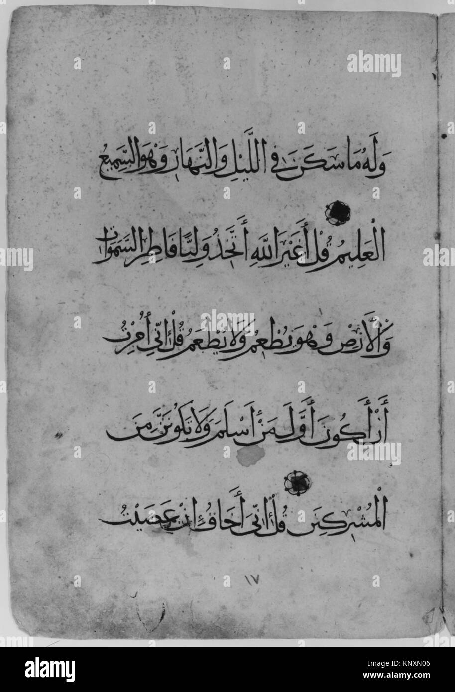 Opaque watercolor Black and White Stock Photos & Images - Alamy