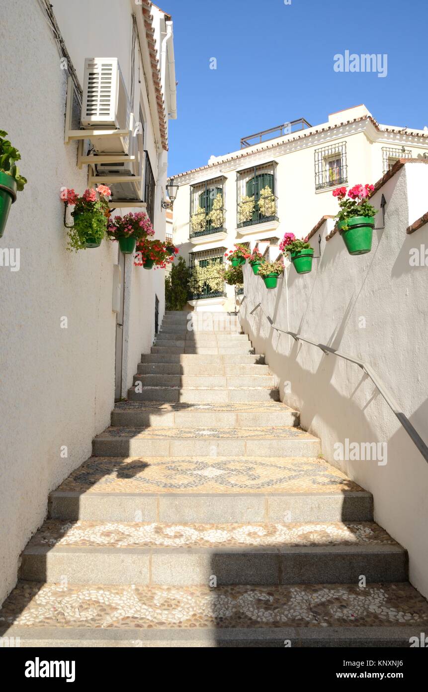 Flowers on green pots on the wall along the stairs in white alley of ...