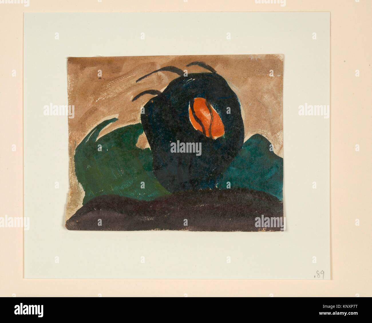 Sun into tree hi-res stock photography and images - Alamy