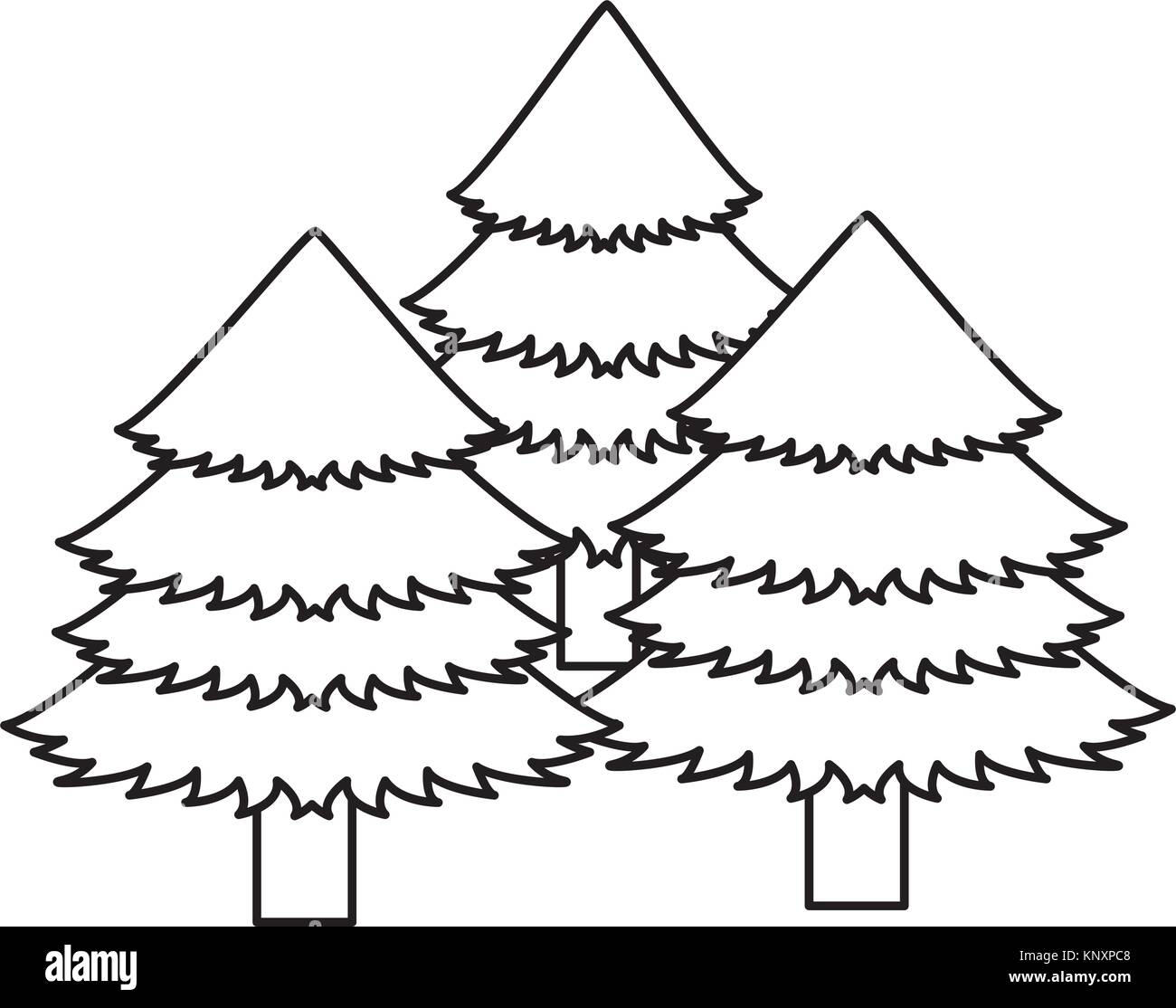 Pine tree design Stock Vector Image & Art - Alamy