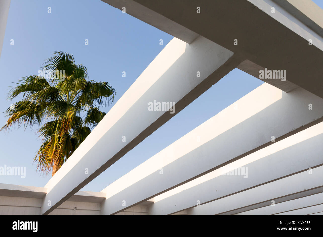 Palm tree building hi-res stock photography and images - Alamy