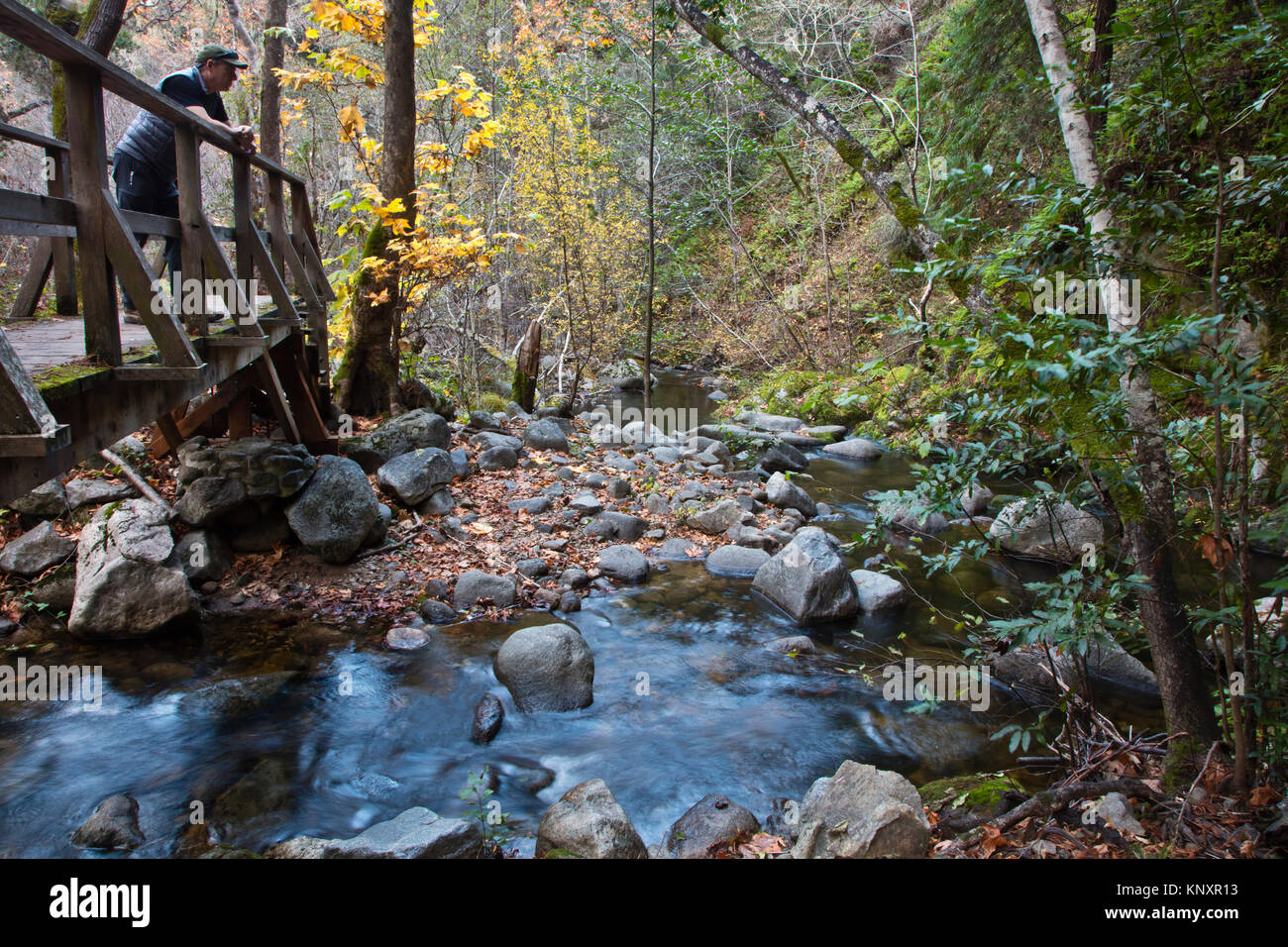 A hiker in GARZAS CANYON enjoys the fall foilage - CARMEL VALLEY ...