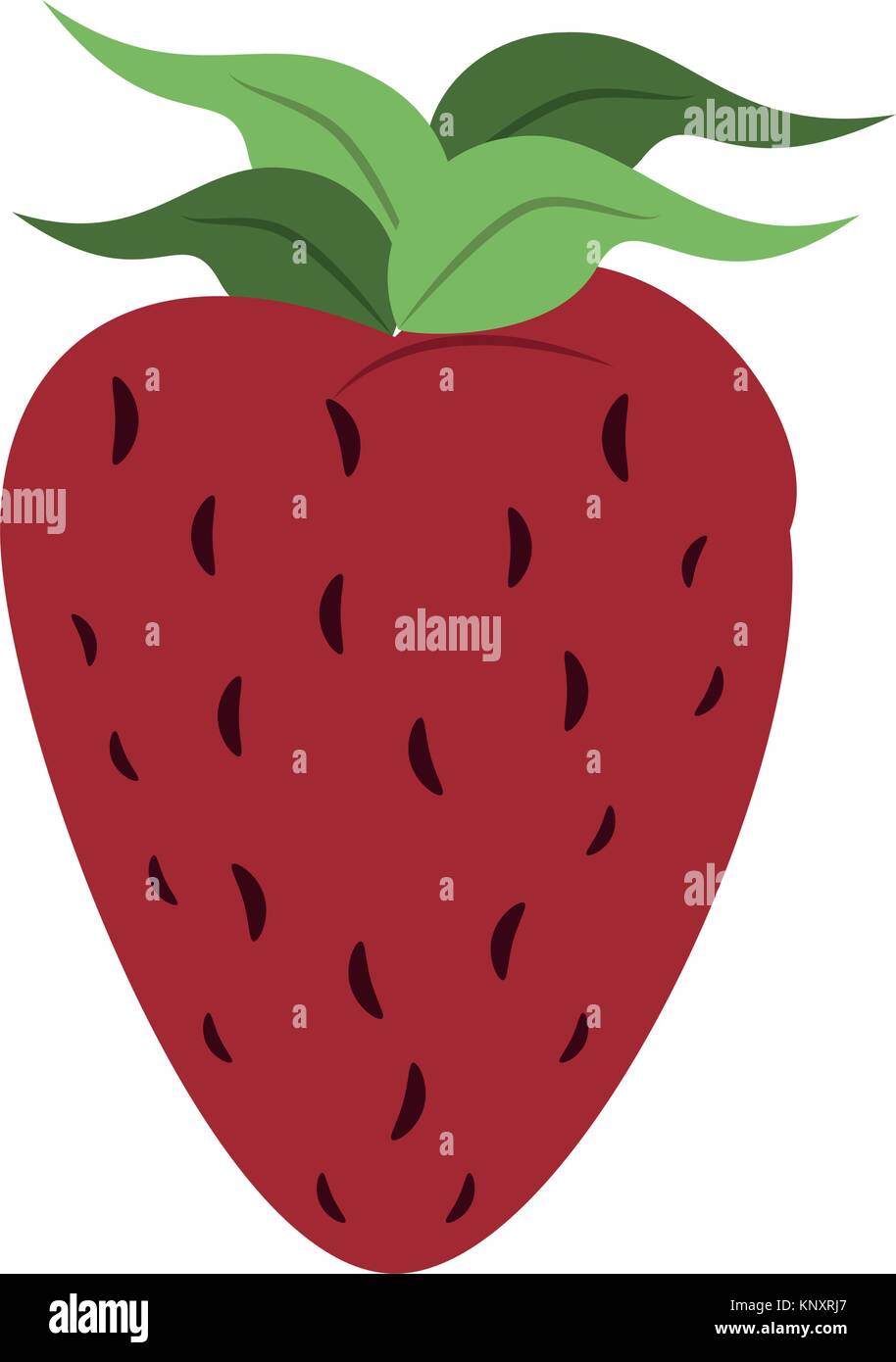 Strawberry sweet fruit icon vector illustration graphic design Stock ...