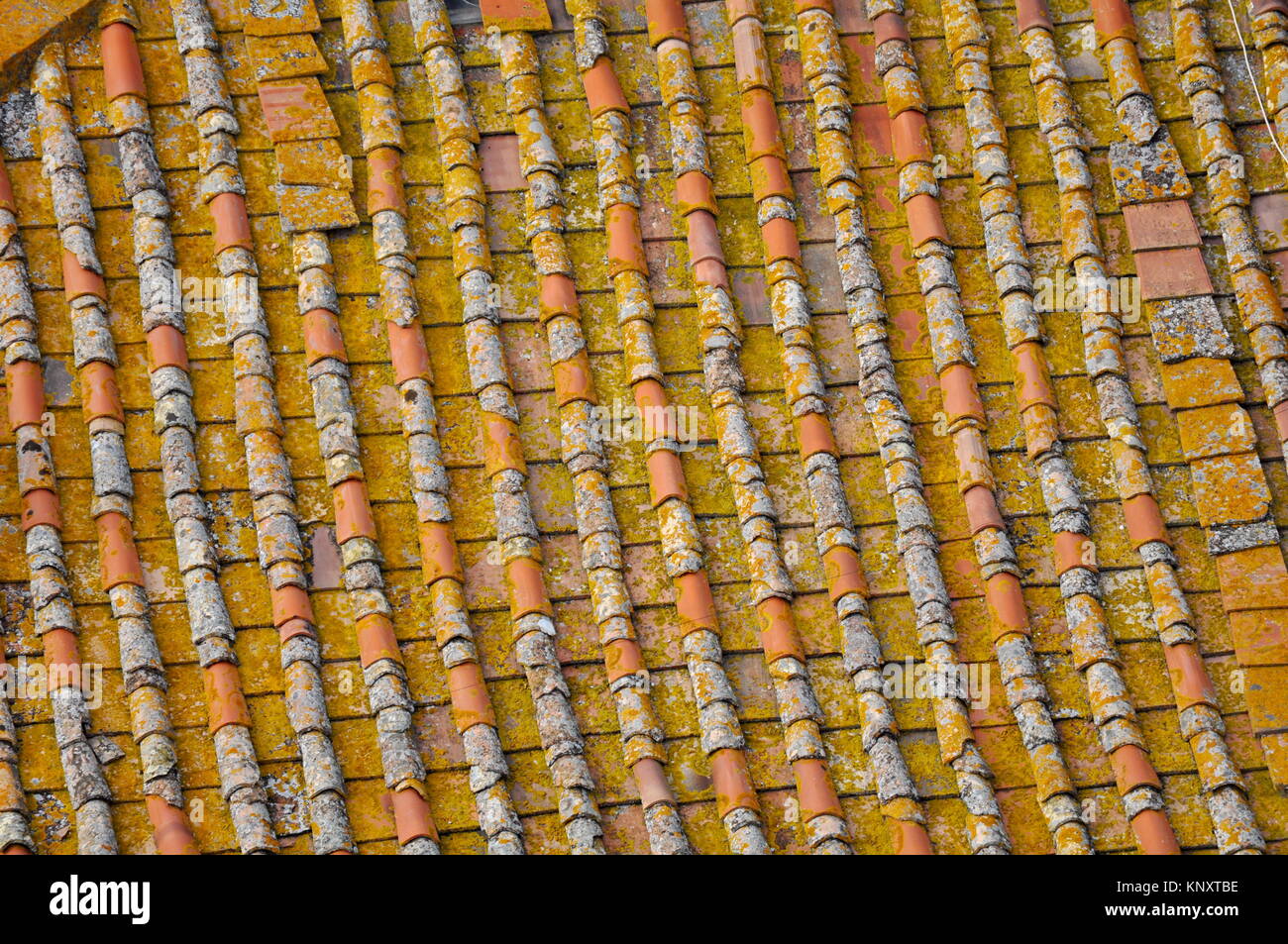 Old style rooftops and roof tiles in Italy Stock Photo - Alamy