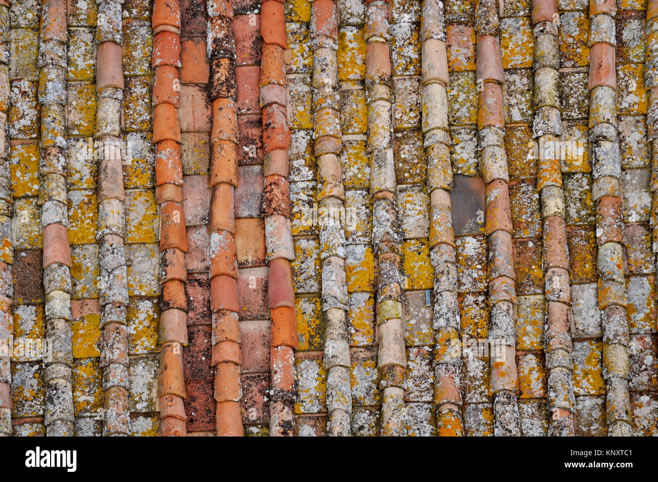 Old style rooftops and roof tiles in Italy Stock Photo - Alamy