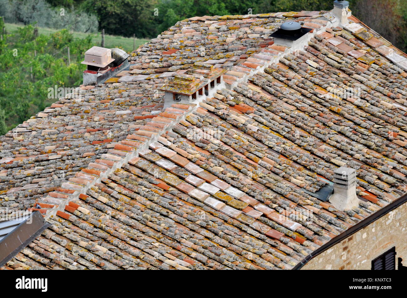 Old style rooftops and roof tiles in Italy Stock Photo - Alamy