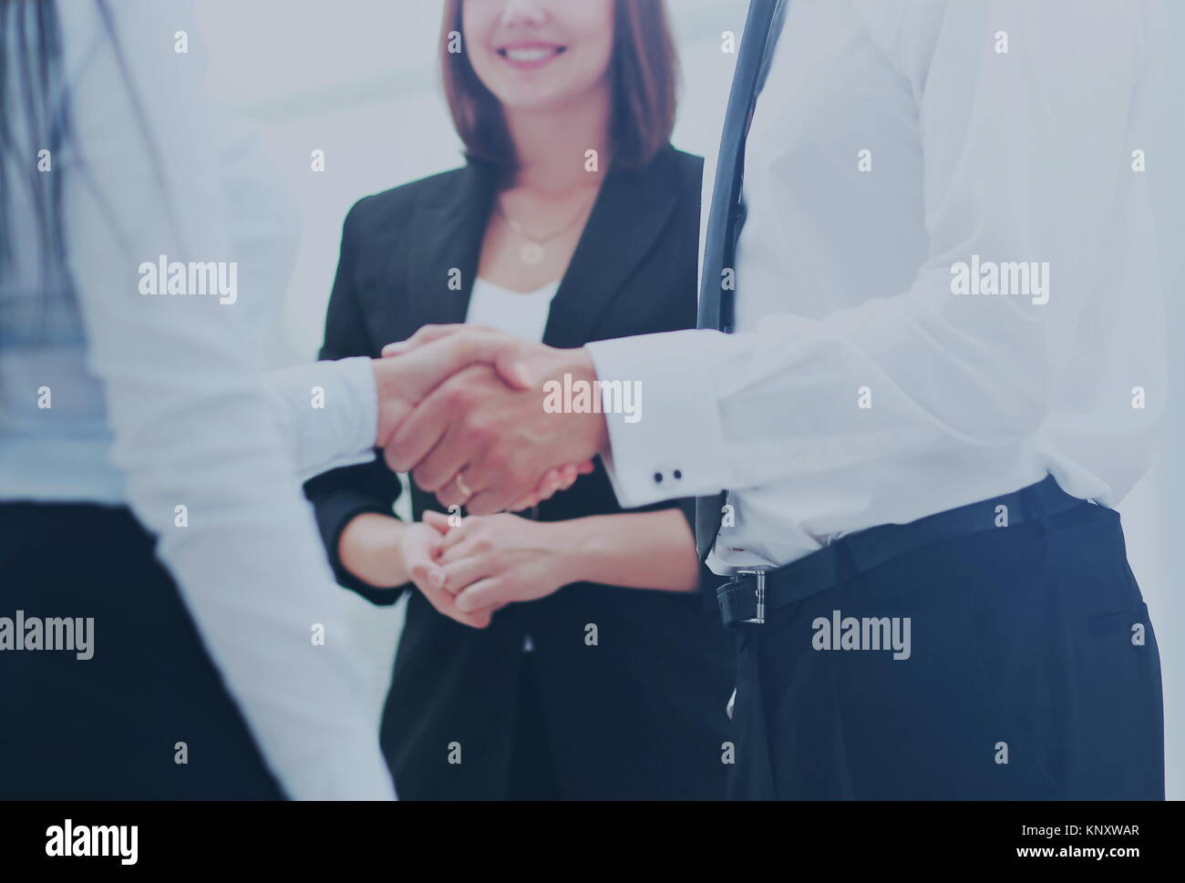Business man shaking hand to partner Stock Photo - Alamy