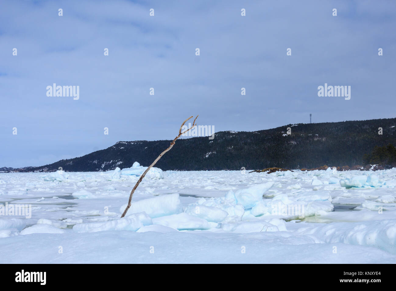 Avondale hi-res stock photography and images - Alamy