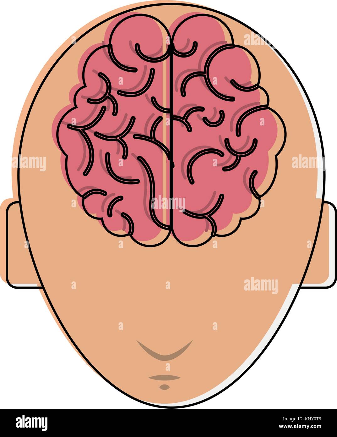 Head with brain Stock Vector Image & Art - Alamy