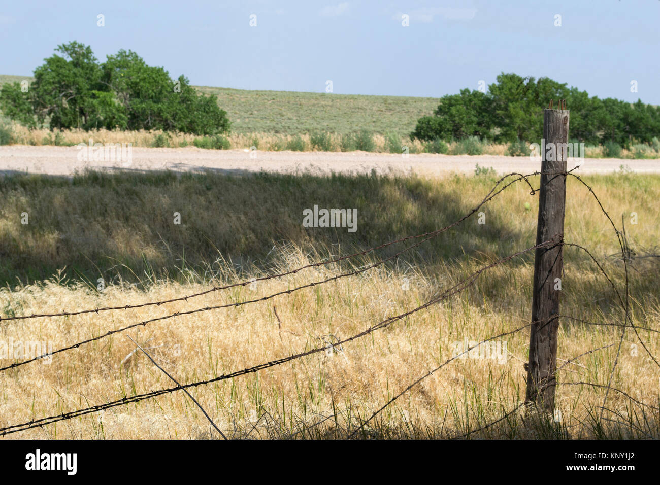 Thistle fence background hi-res stock photography and images - Alamy