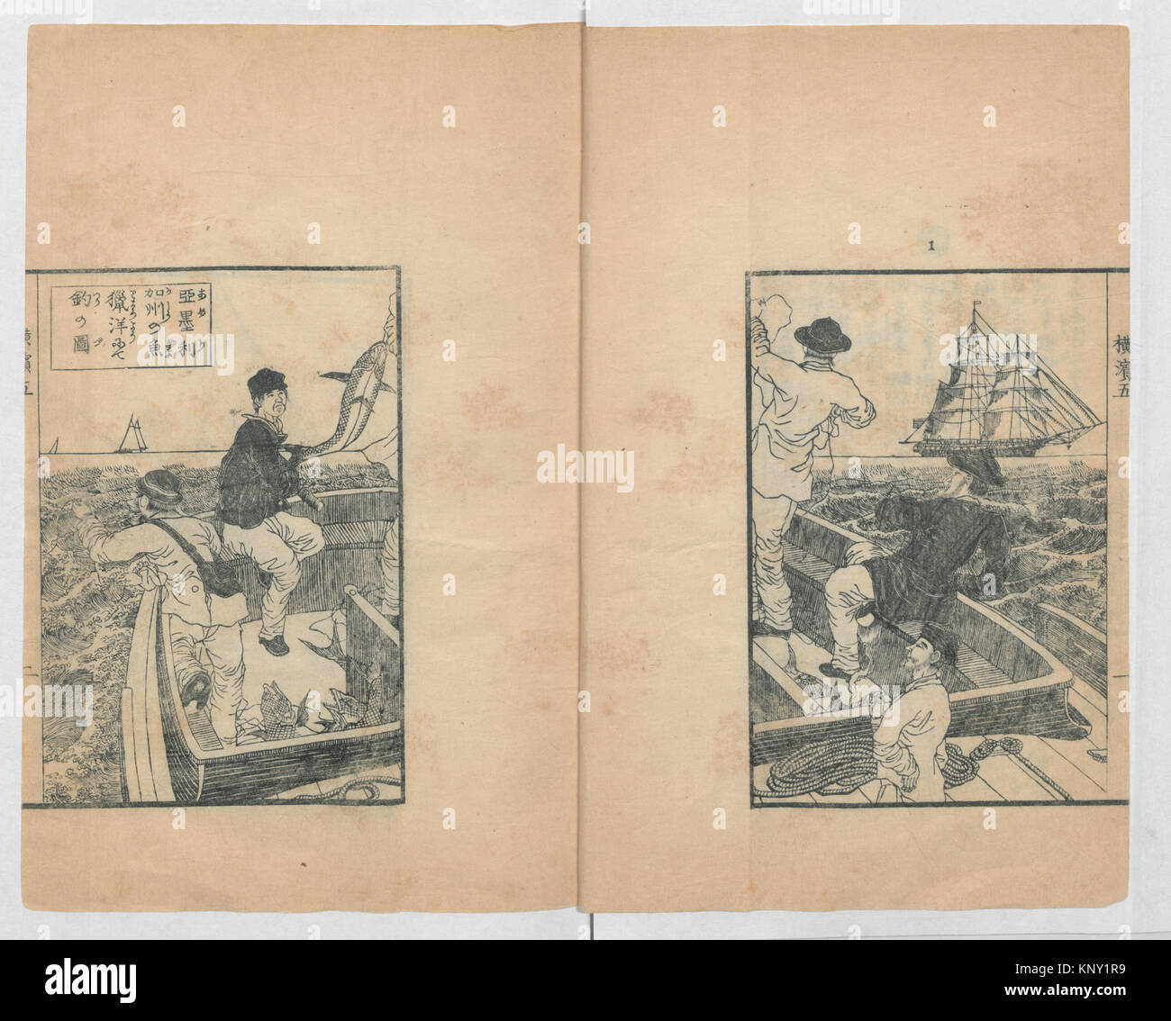 Gyokuran hashimoto hi-res stock photography and images - Alamy