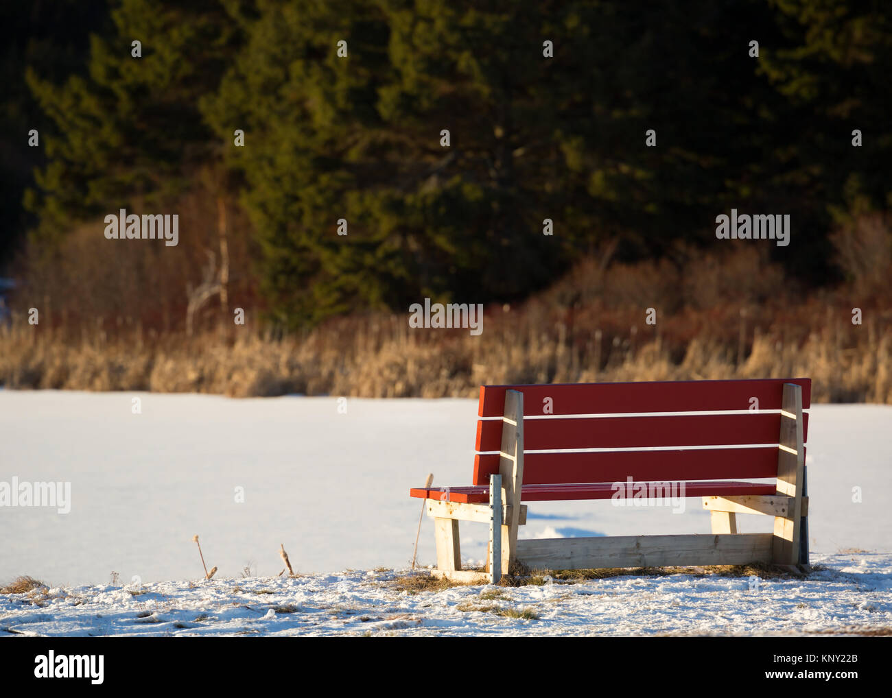 Bench overlooking pond hi-res stock photography and images - Alamy