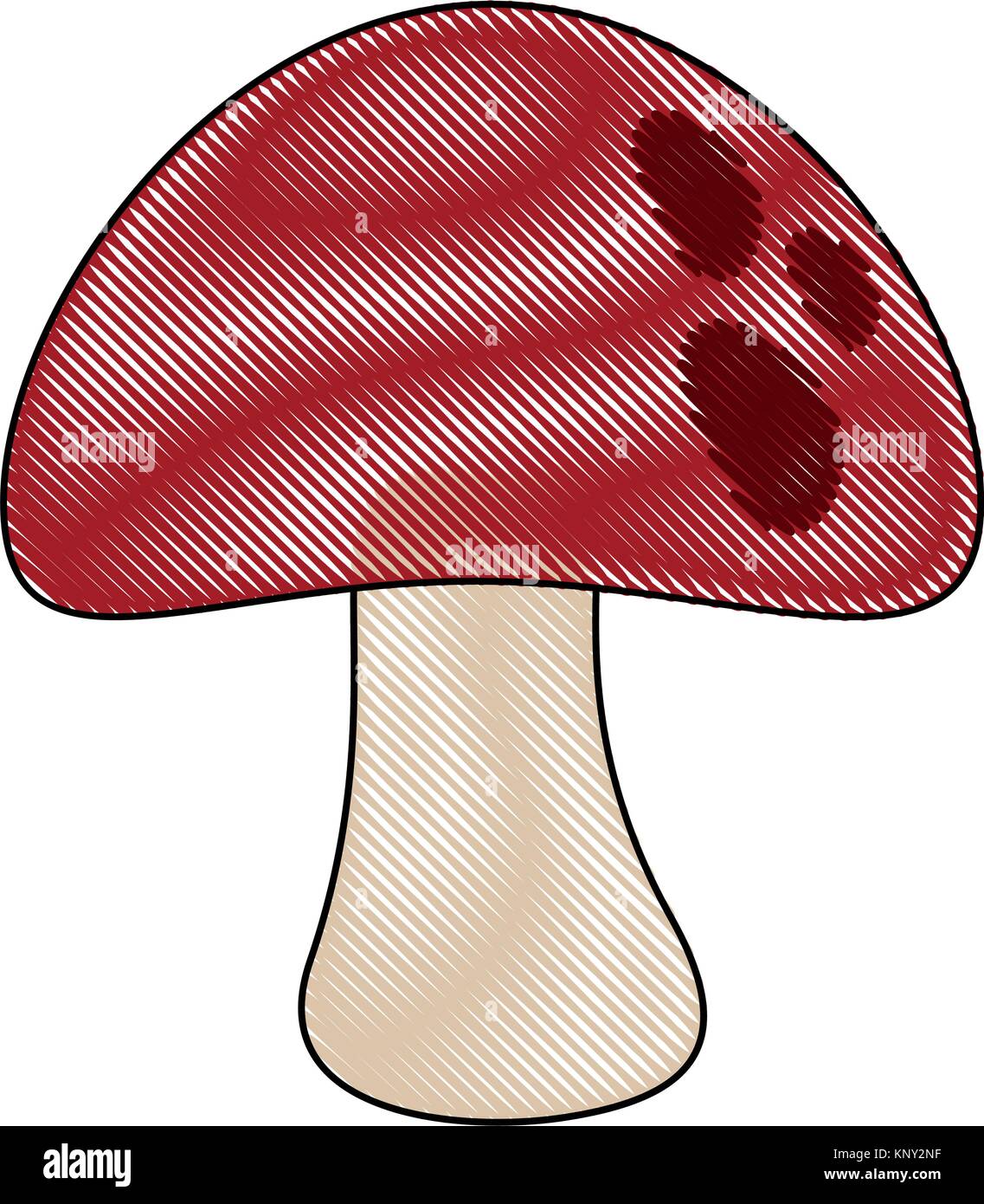 red mushroom isolated Stock Vector Image & Art - Alamy