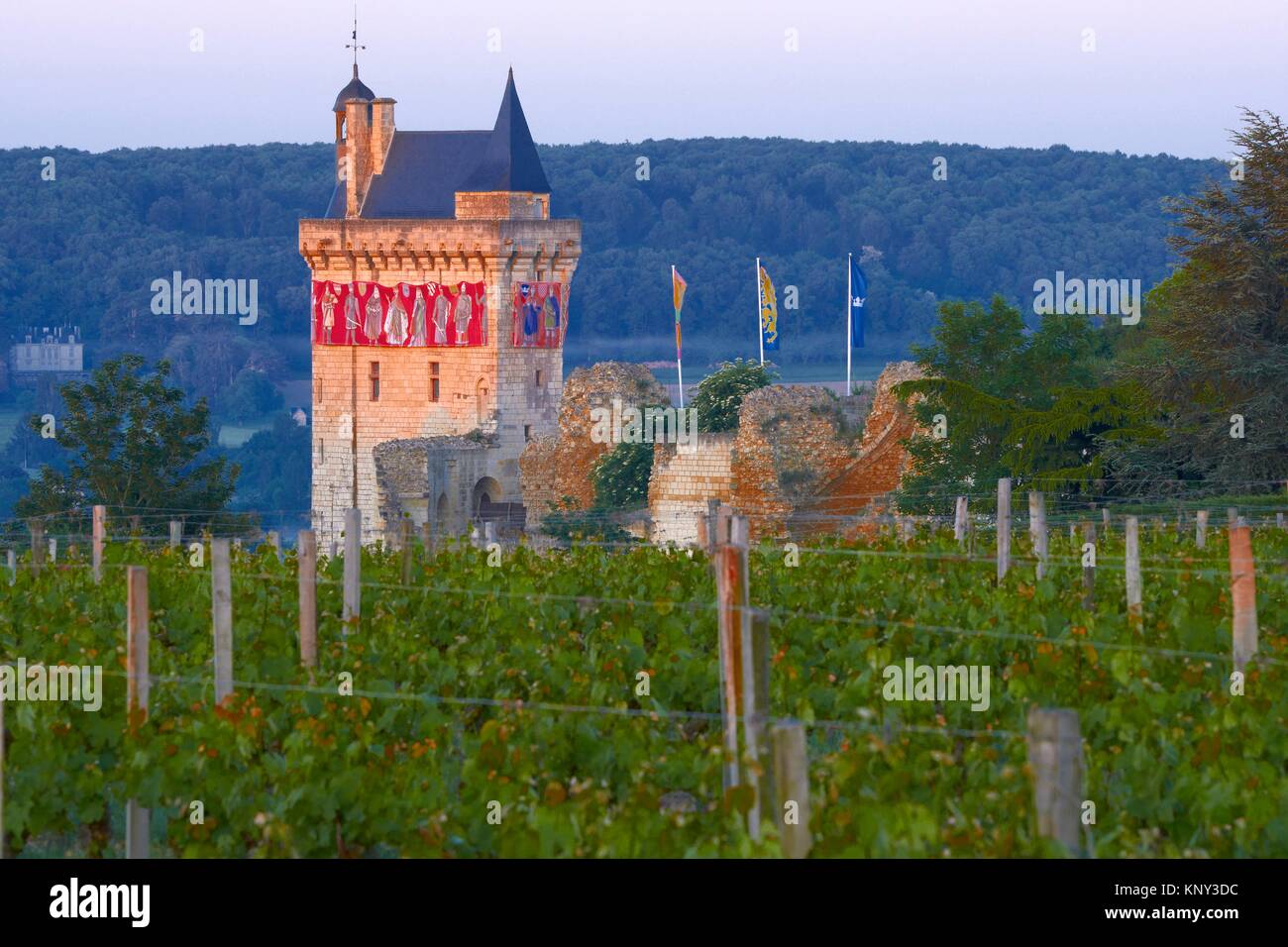 Chinon, Castle, Château de Chinon, Chinon Castle at Dawn, Indre-et ...